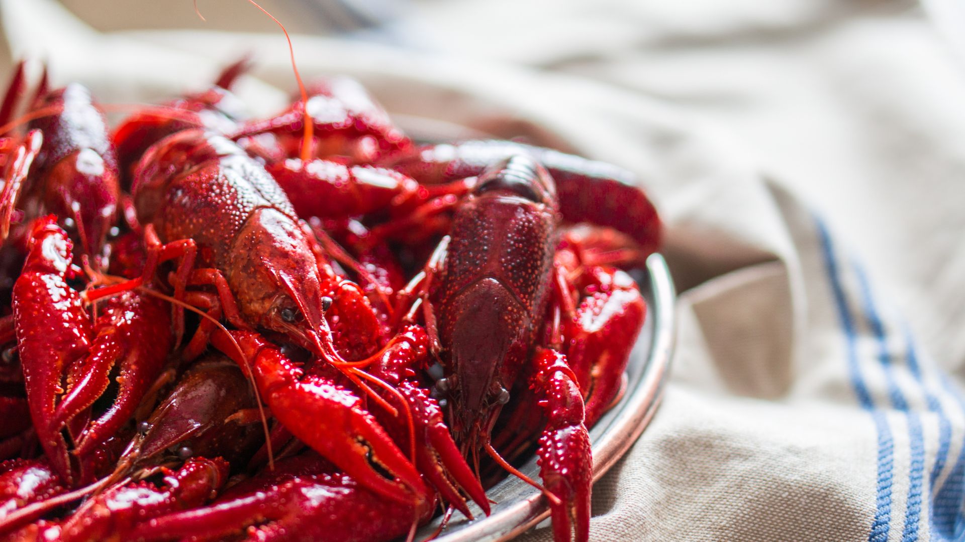 Bästa västerbottenpajen till kräftskivan - Quaffable Wines